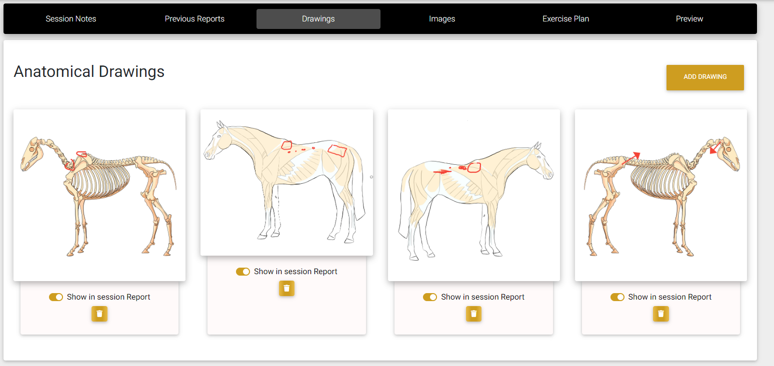Business & Rehab Software for equine & canine therapists | Equicantis